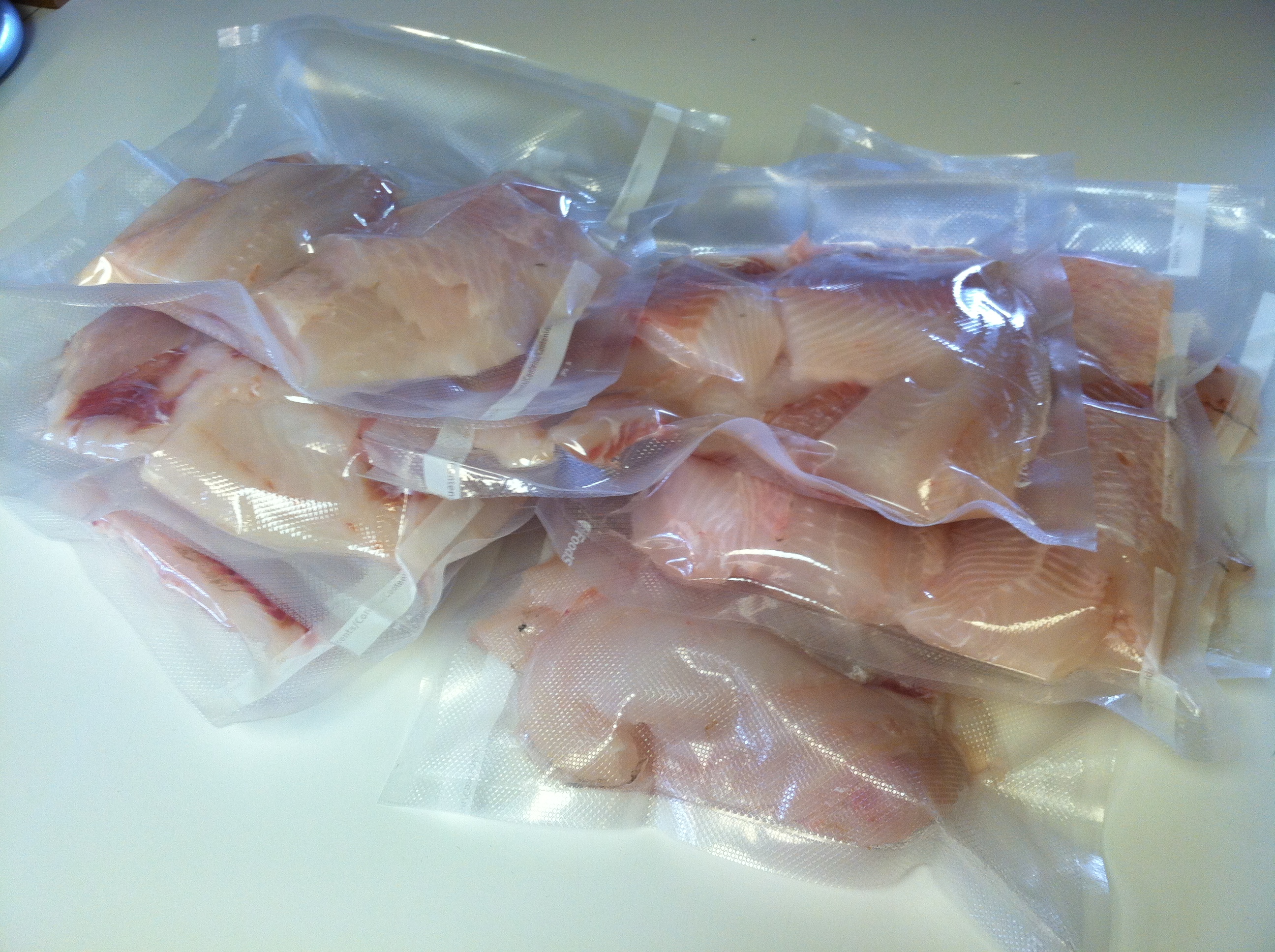 Ling Cod 018 – Scratch This with Sandy