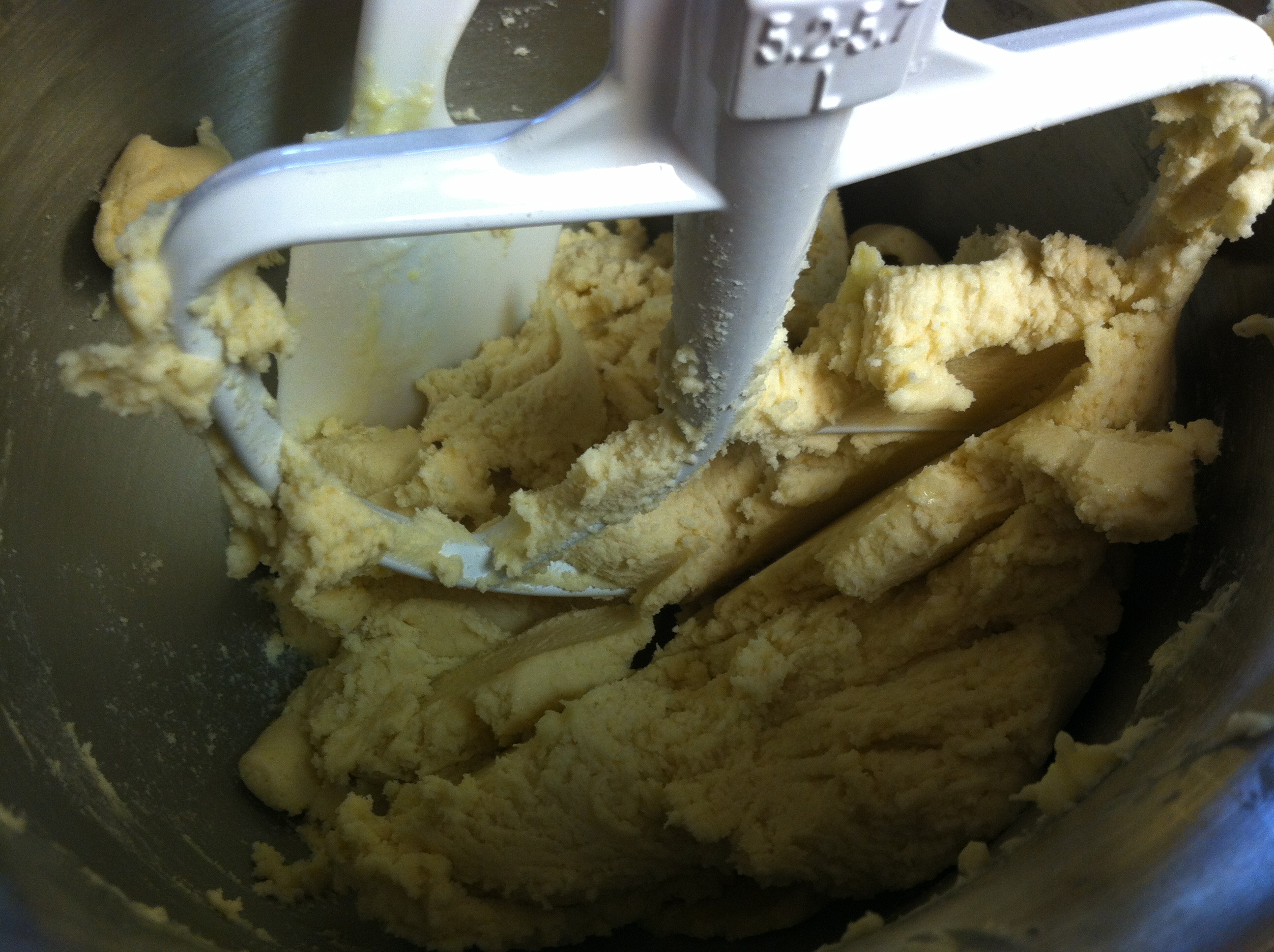 Snickerdoodles 004 – Copy – Scratch This with Sandy